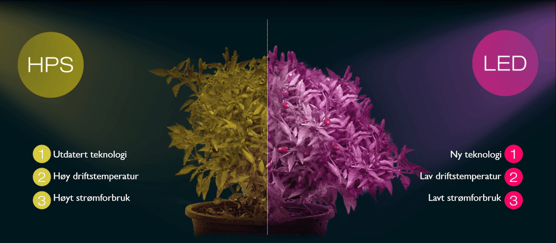 LED vs HPS - Smartvekst.no